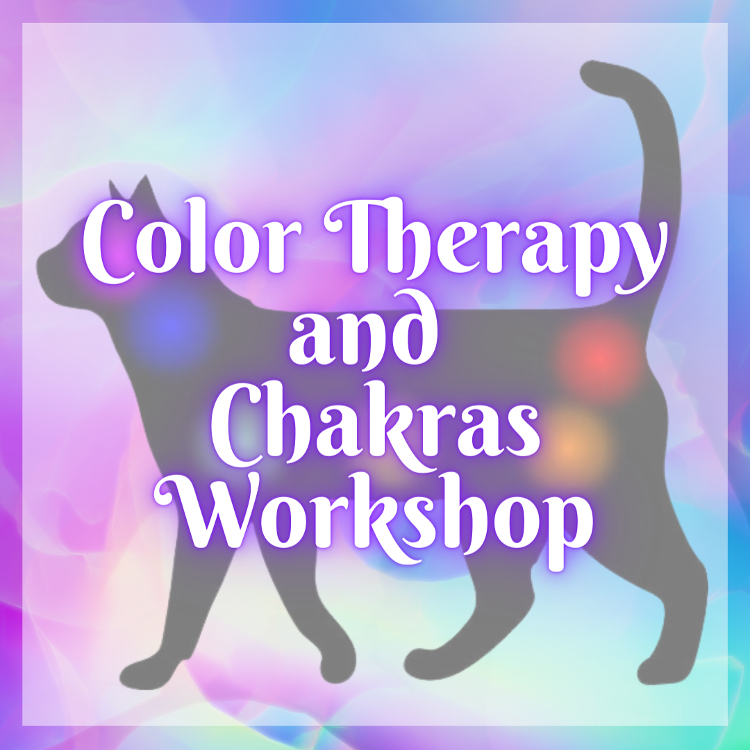 Workshops | Purrrfectly Holistic Purrrfectly Holistic