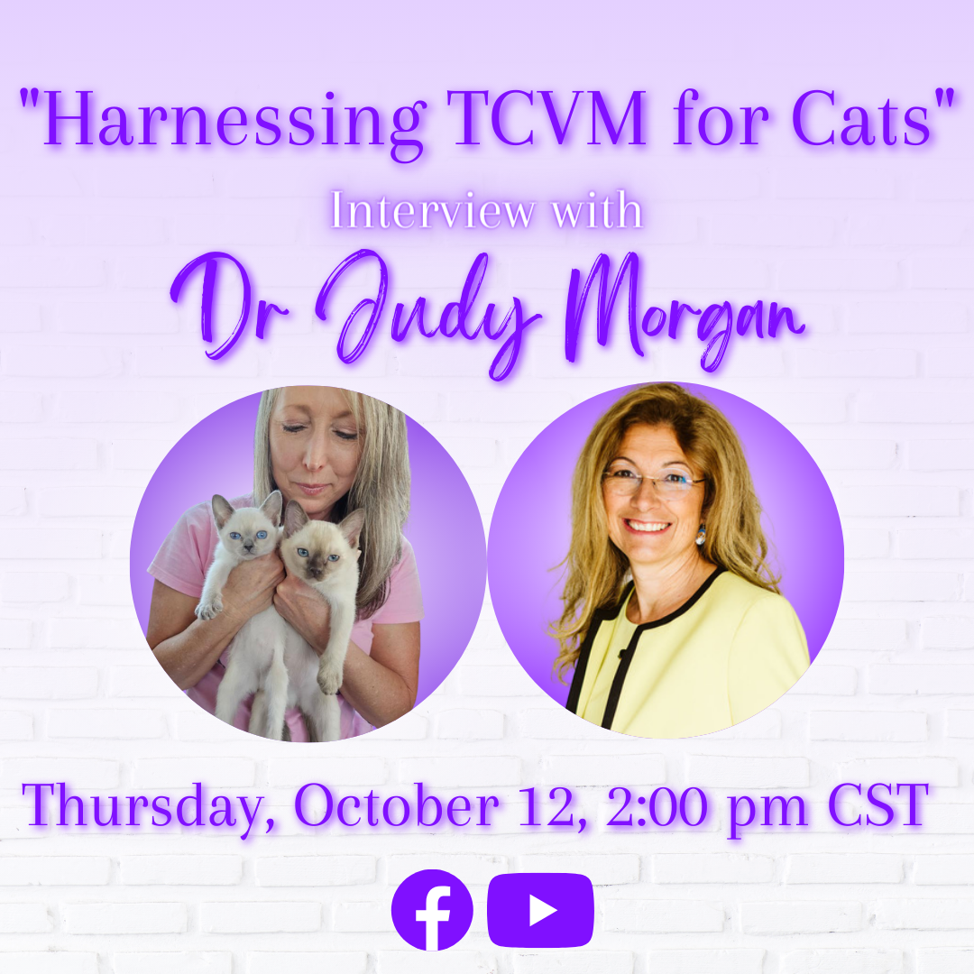 Harnessing TCVM For Cats | Purrrfectly Holistic Purrrfectly Holistic