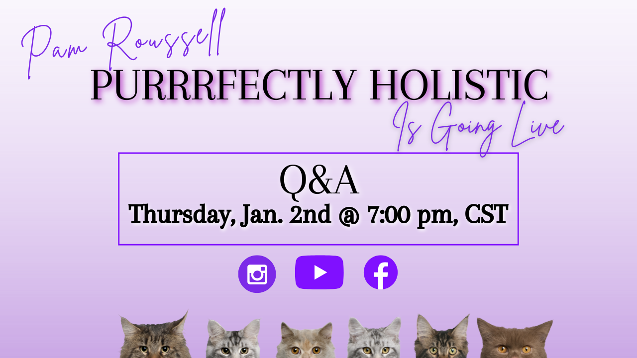 Holistic Cat Care Q&A January 2025 | Purrrfectly Holistic Purrrfectly Holistic